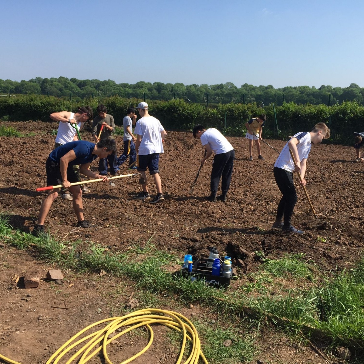 Worksop College - Talbot House get 'hands-on' at Rhubarb Farm