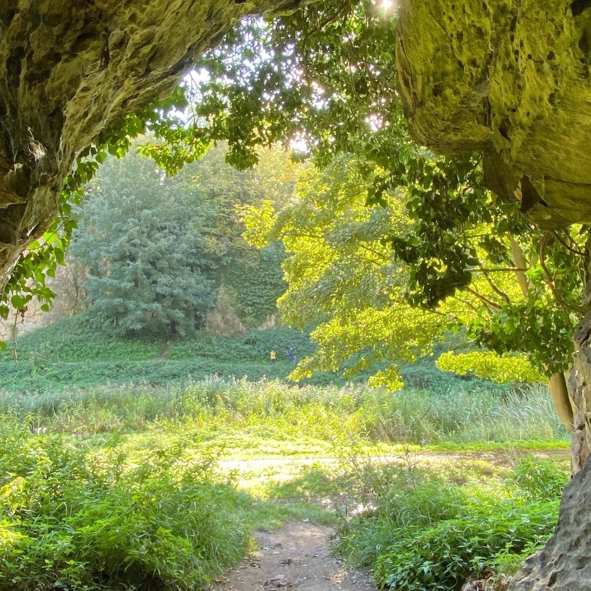 Worksop College - Five Scenic Spots For Winter Walks