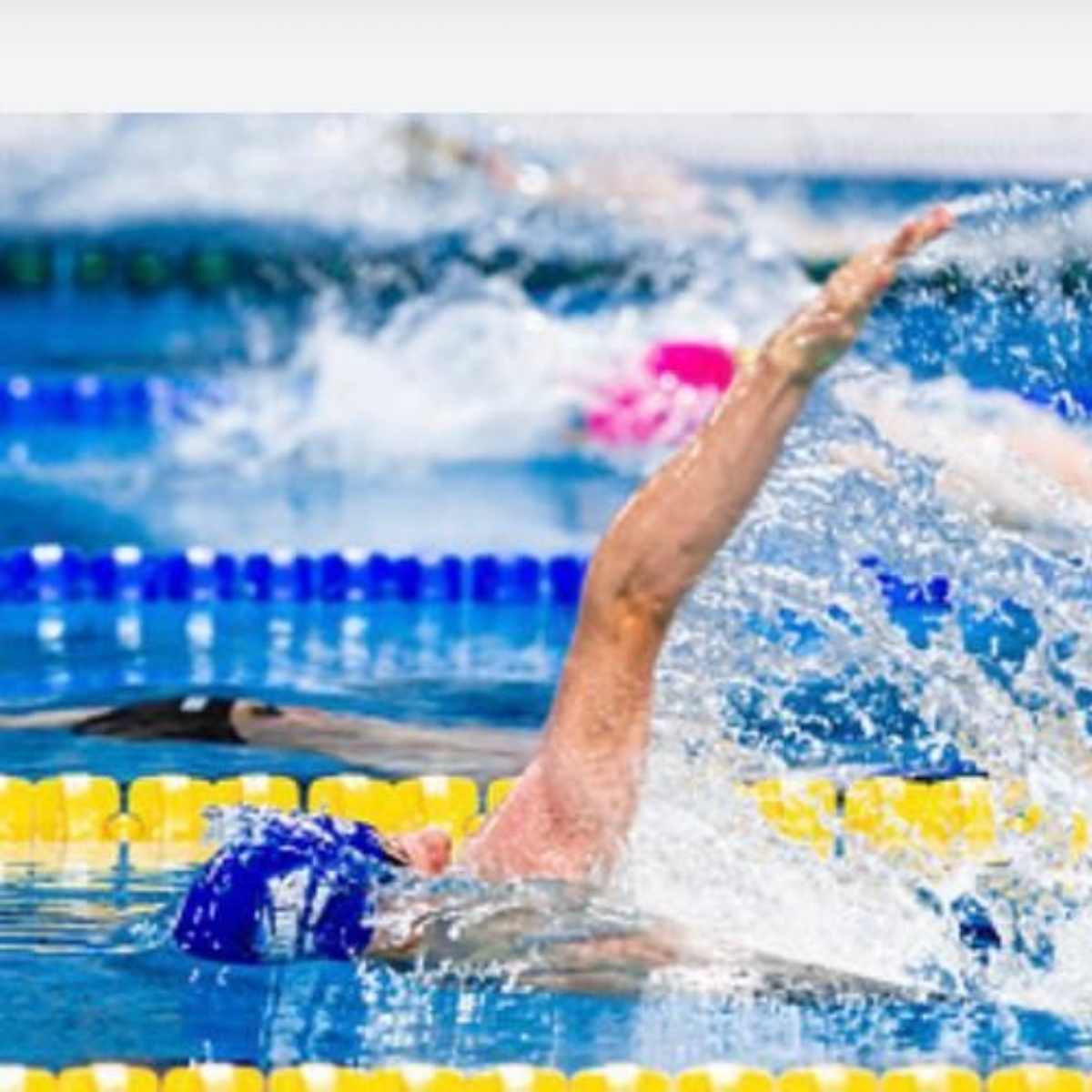 Worksop College - College swimmers dominate in UK and Netherlands ...